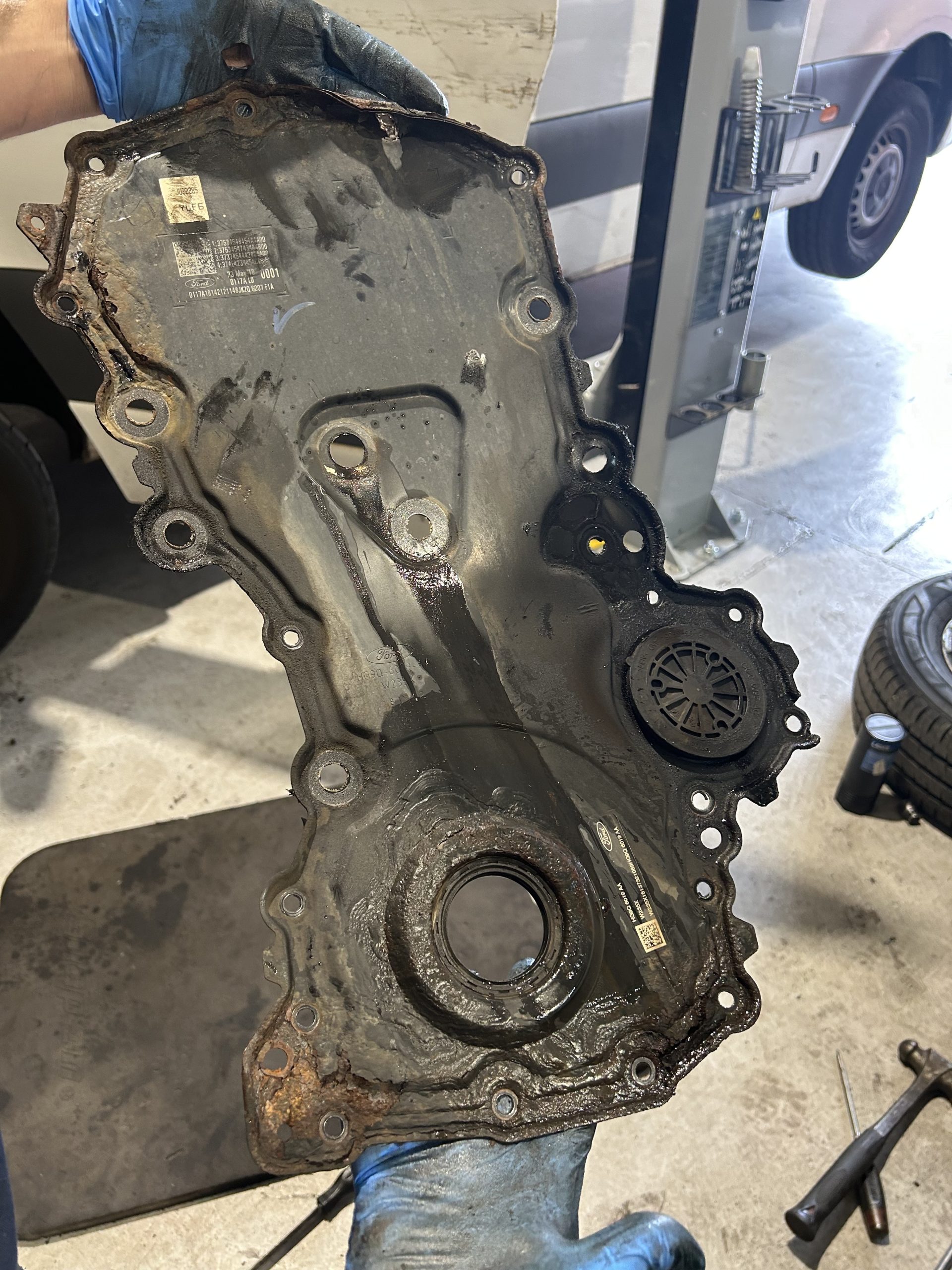 Ford Transit Wet Belt Replacement: Behind the Scenes at Ferdotti Motor ...